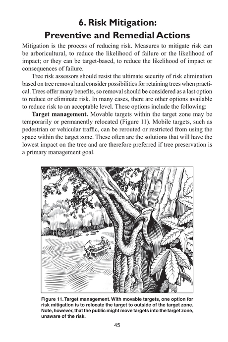 BMP - Tree Risk Assessment - 45