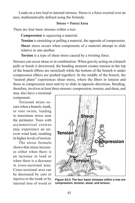 BMP - Tree Risk Assessment - 57