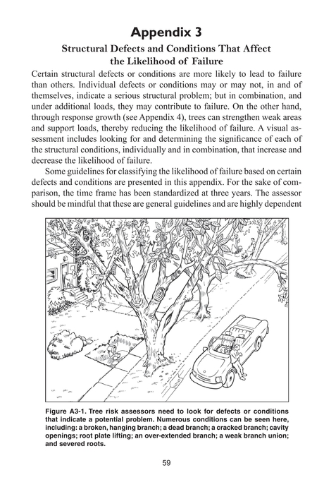 BMP - Tree Risk Assessment - 59