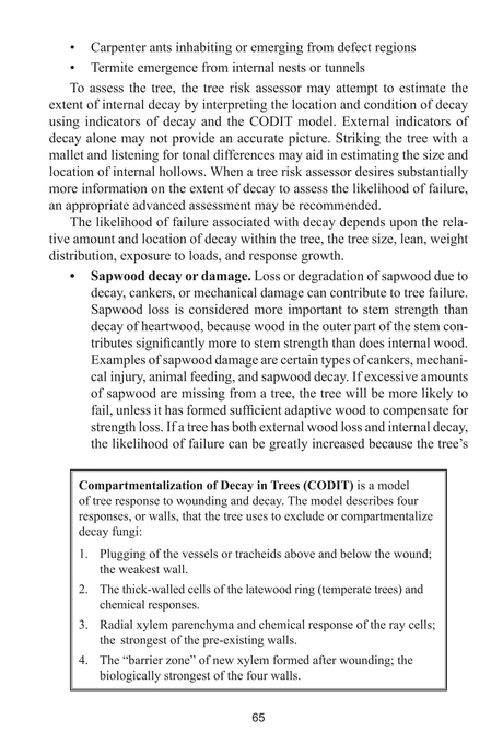 BMP - Tree Risk Assessment - 65