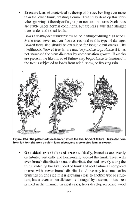 BMP - Tree Risk Assessment - 67