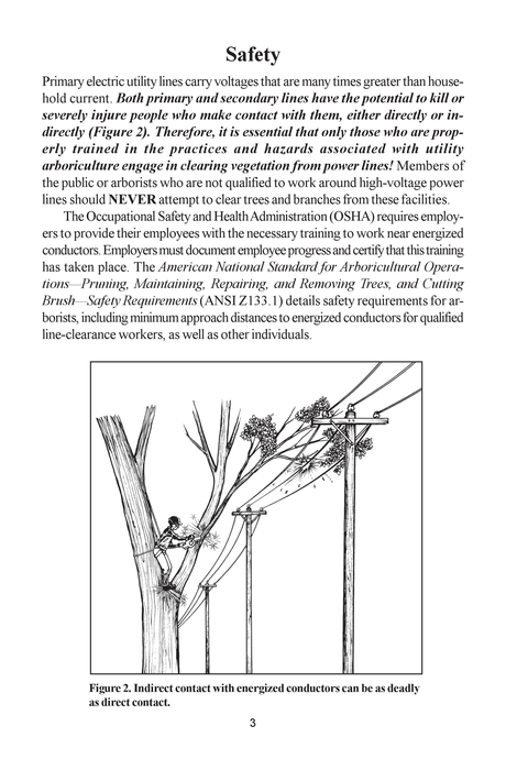 BMP - Utility Pruning - 3
