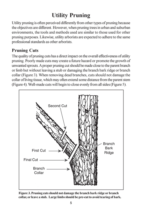 BMP - Utility Pruning - 5