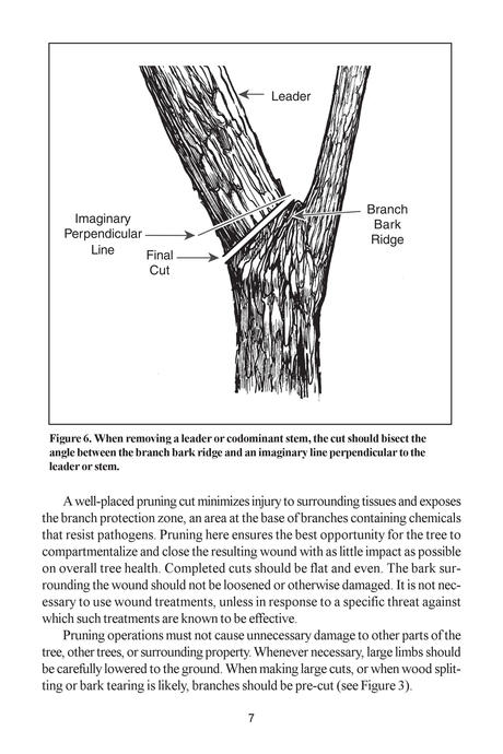 BMP - Utility Pruning - 7