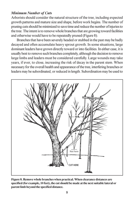 BMP - Utility Pruning - 9