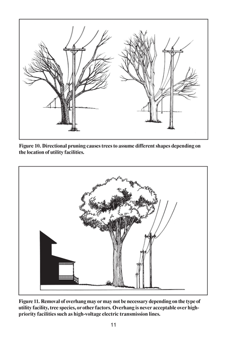 BMP - Utility Pruning - 11