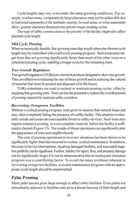 BMP - Utility Pruning - 16