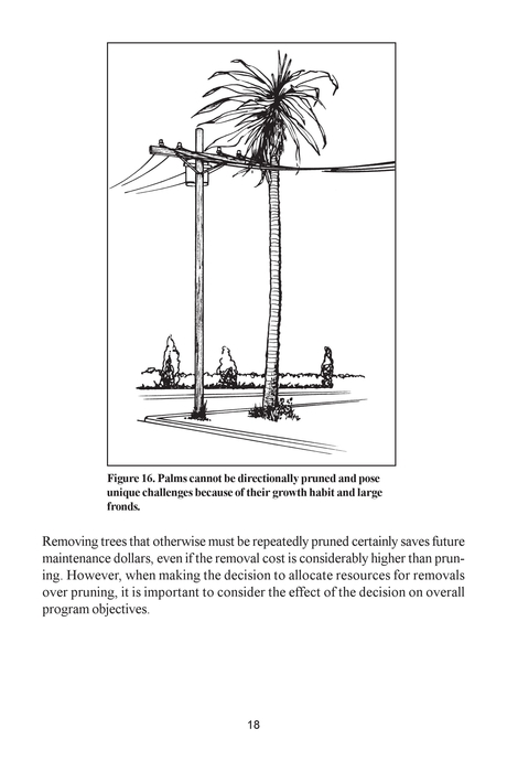 BMP - Utility Pruning - 18