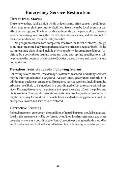 BMP - Utility Pruning - 20