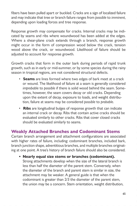 BMP - Utility Tree Risk Assessment - 65