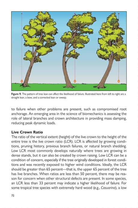 BMP - Utility Tree Risk Assessment - 72