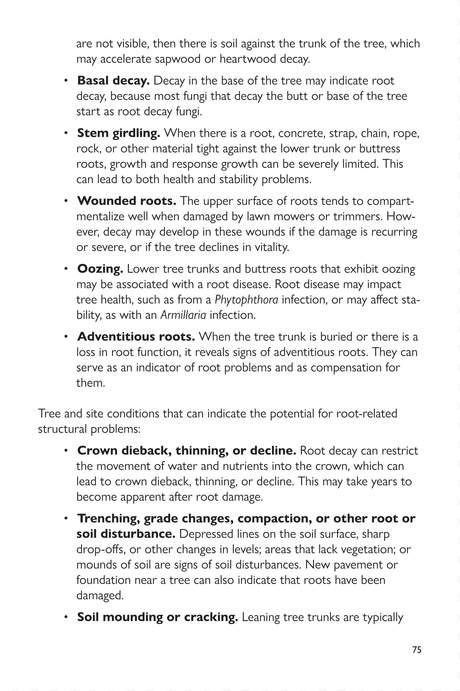 BMP - Utility Tree Risk Assessment - 75