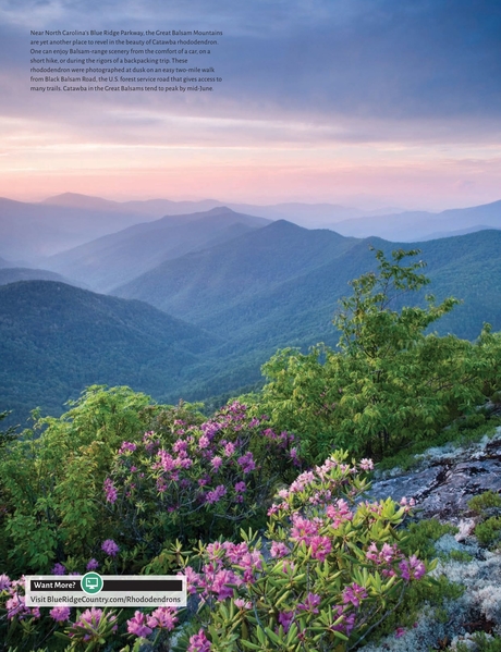 Blue Ridge Country - May/June 2015 - 36