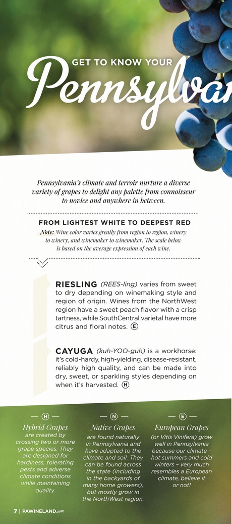 Pennsylvania Wine Land Guide 2020 - 7