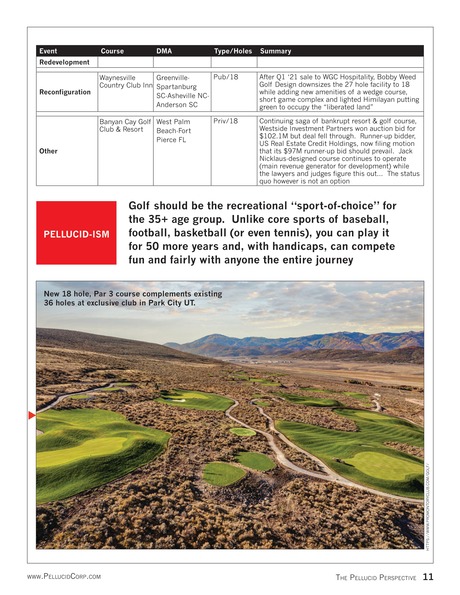 The Pellucid Perspective - September 2023 - 11