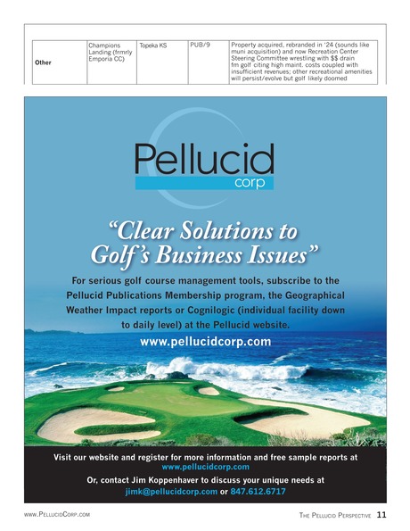 The Pellucid Perspective - February 2025 - 11