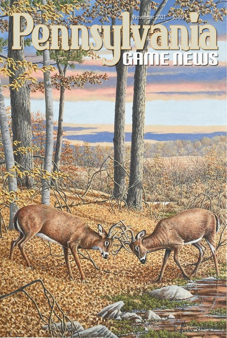 Pennsylvania Game News - November 2021