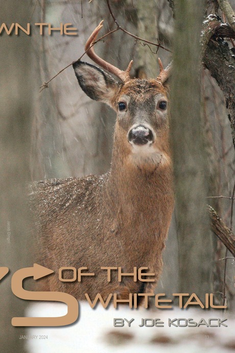 Pennsylvania Game News - January 2024 - 33