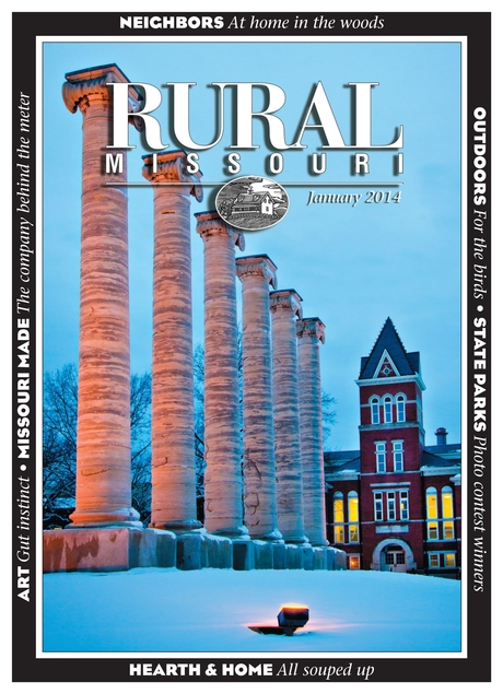 Rural Missouri - January 2014