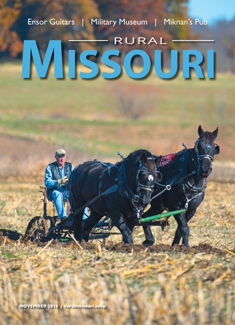 Rural Missouri - November 2016