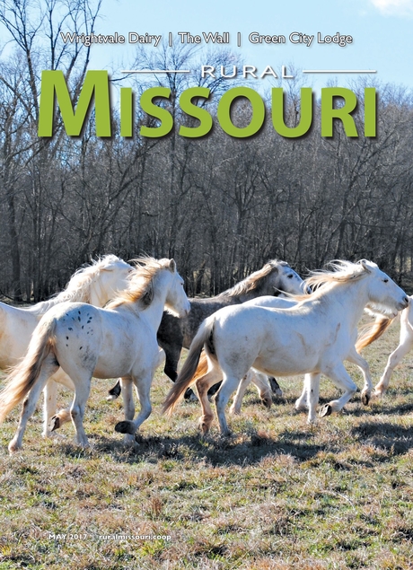 Rural Missouri - May 2017