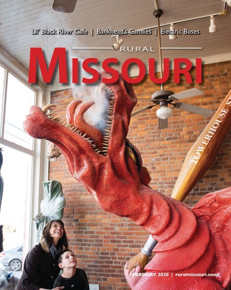 Rural Missouri - February 2020