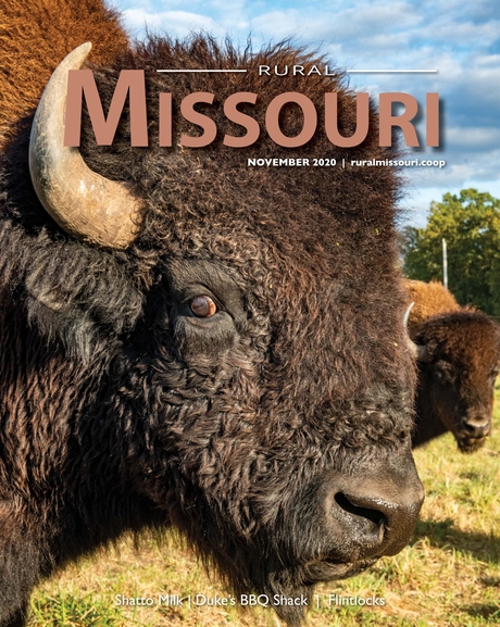 Rural Missouri - November 2020