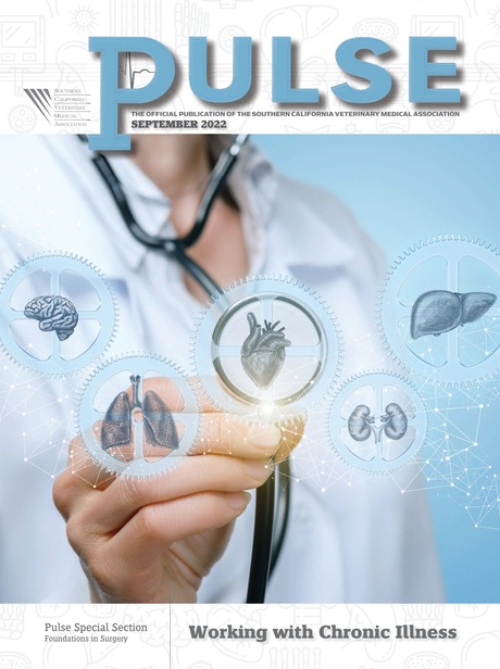Pulse - September 2022