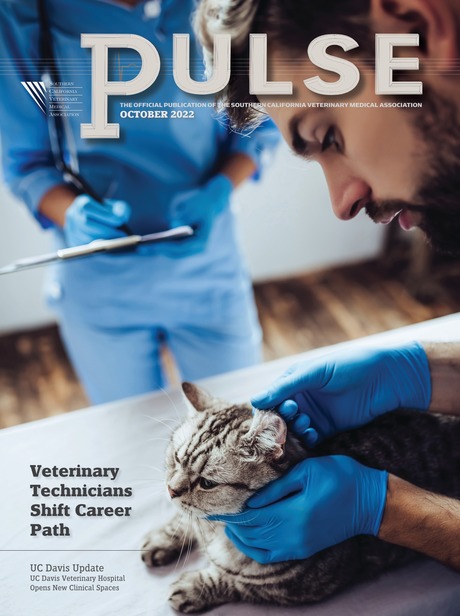 Pulse - October 2022