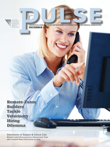Pulse - December 2022 - Pulse - December 2022