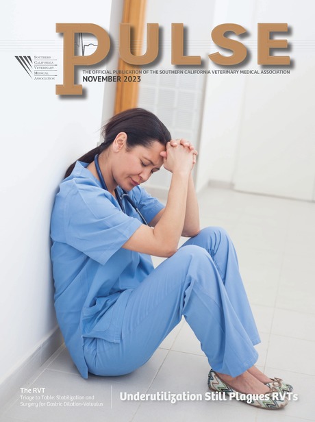 Pulse - November 2023