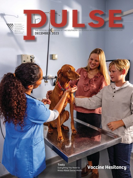 Pulse - December 2023