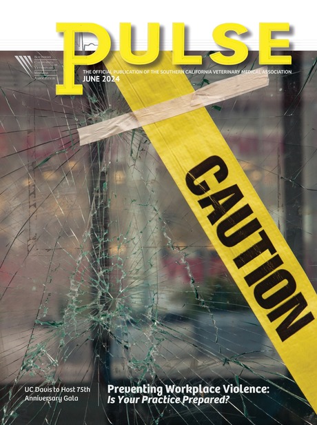 Pulse - June 2024