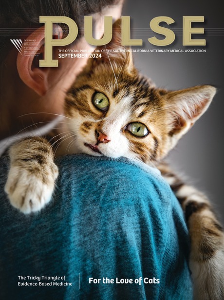 Pulse - September 2024