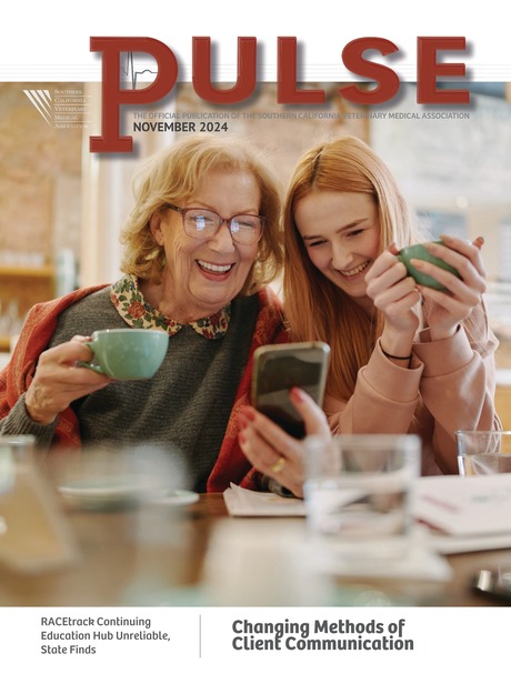 Pulse - November 2024