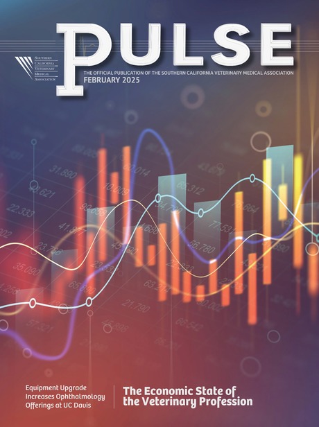 Pulse - February 2025 - Cover1