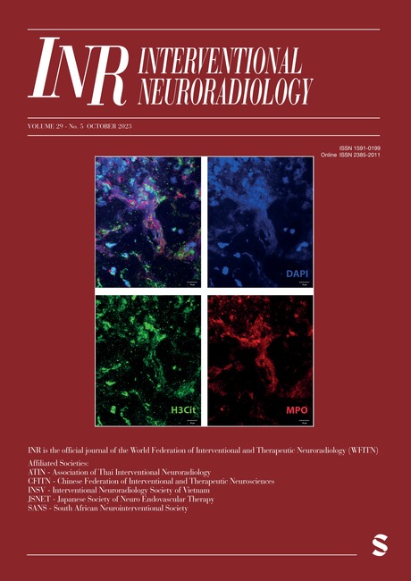 Interventional Neuroradiology 2023 No. 5