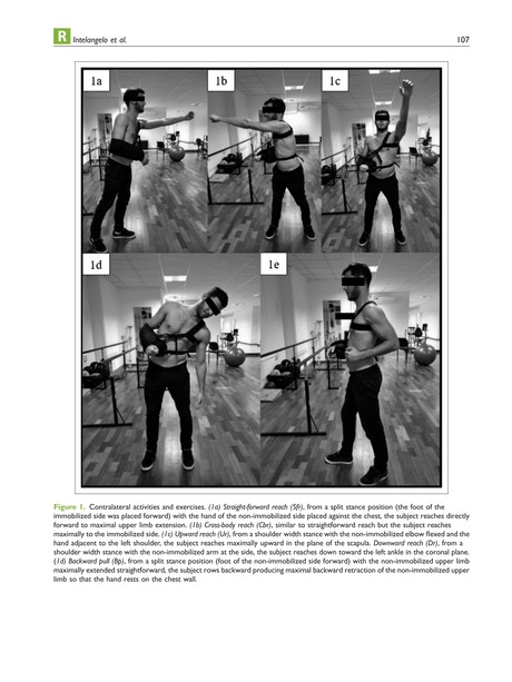 Shoulder & Elbow - February 2025 - 107