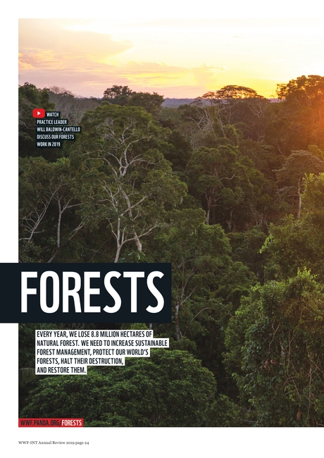 WWF Annual Review 2019