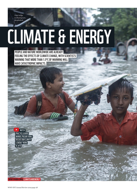 WWF Annual Review 2019