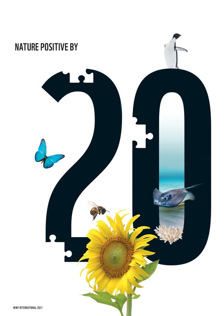 WWF Annual Review 2021 - 10