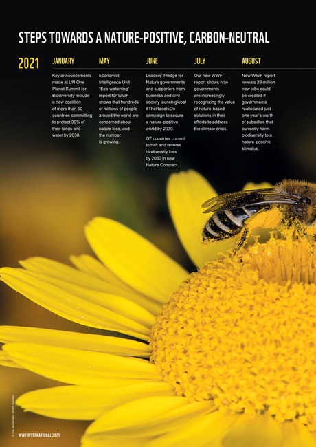 WWF Annual Review 2021 - 12