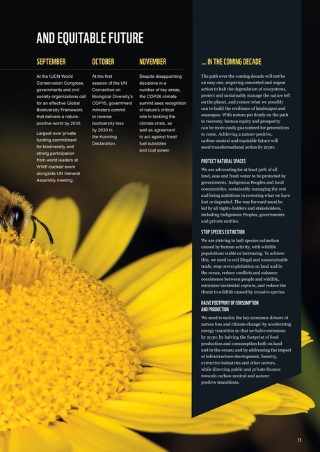 WWF Annual Review 2021 - 13