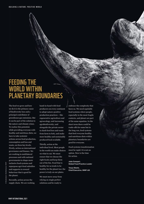 WWF Annual Review 2021 - 22