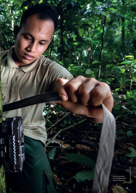 WWF Annual Review 2021 - 25