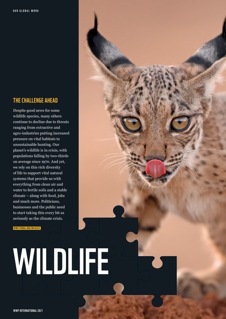 WWF Annual Review 2021 - 26