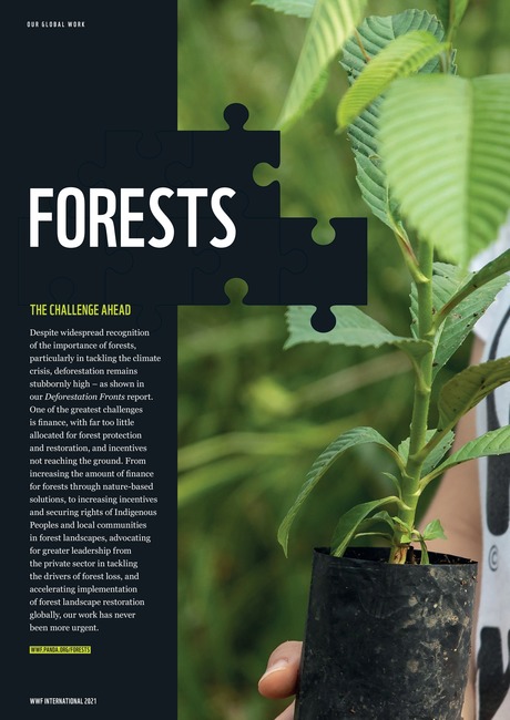 WWF Annual Review 2021 - 30