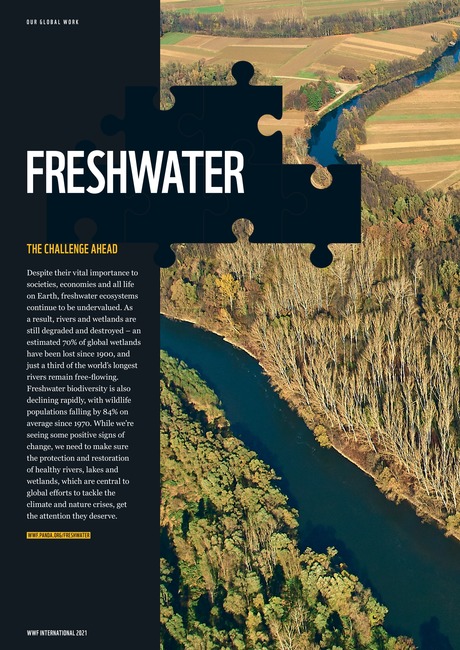 WWF Annual Review 2021 - 32