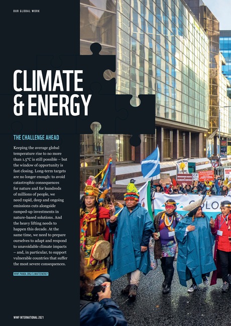 WWF Annual Review 2021 - 34