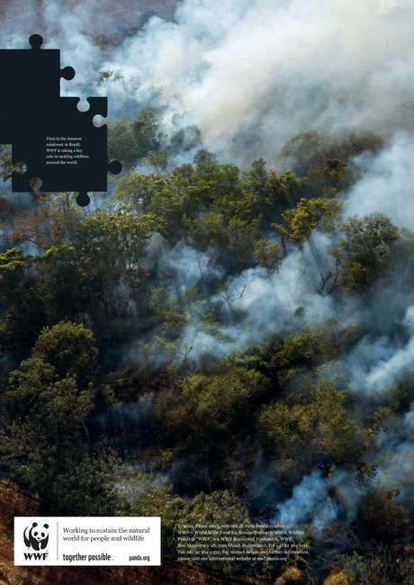 WWF Annual Review 2021 - Cover4